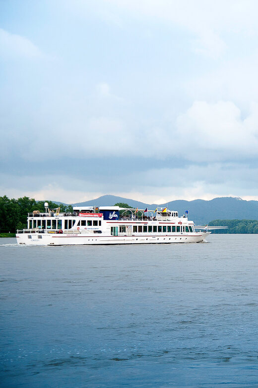 Bonn: Evening Sightseeing Cruise on the Rhine River - Practical Details