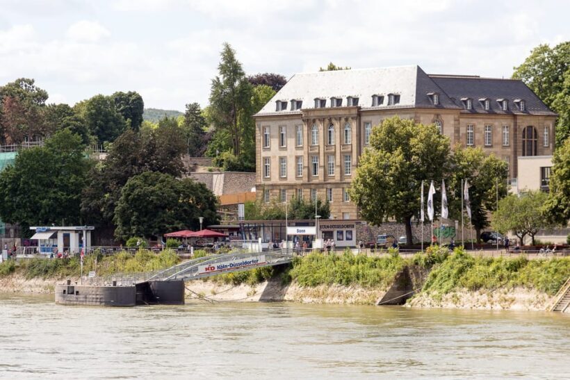 Bonn: Evening Sightseeing Cruise on the Rhine River - Who Will Love This Experience