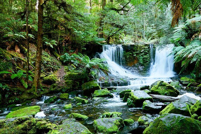 Bonorong Wildlife Park and Richmond Afternoon Tour from Hobart - The Value of the Tour