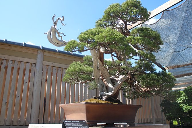 Bonsai Museum & Bonsai Experience - Meeting and Pickup
