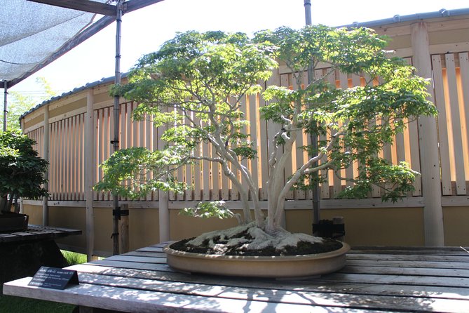 Bonsai Museum & Bonsai Experience - Common Questions