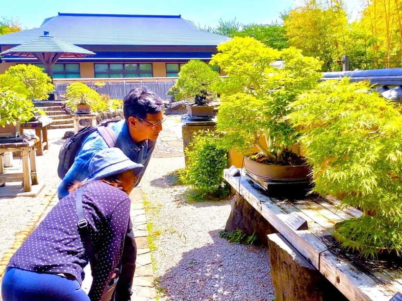 Bonsai Tour & Experience at the Most Sacred Bonsai's City - Key Points
