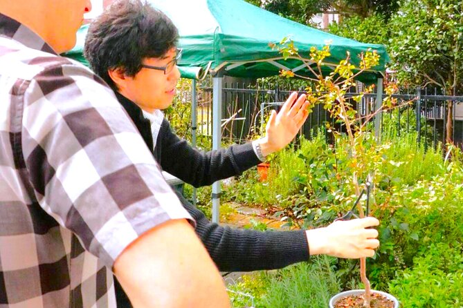 Bonsai Tour & Experience at the Most Sacred City for Bonsai in JP - Hands-on Bonsai Shaping and Pruning