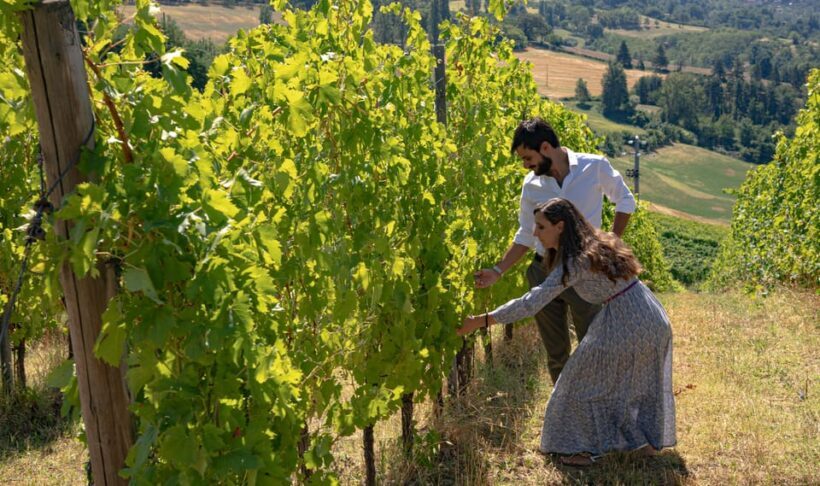 Bonzara Estate - Tour and wine tasting in the Colli Bolognesi - Key Points