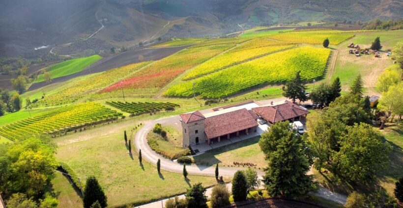 Bonzara Estate - Tour and wine tasting in the Colli Bolognesi - An Introduction to the Bonzara Experience