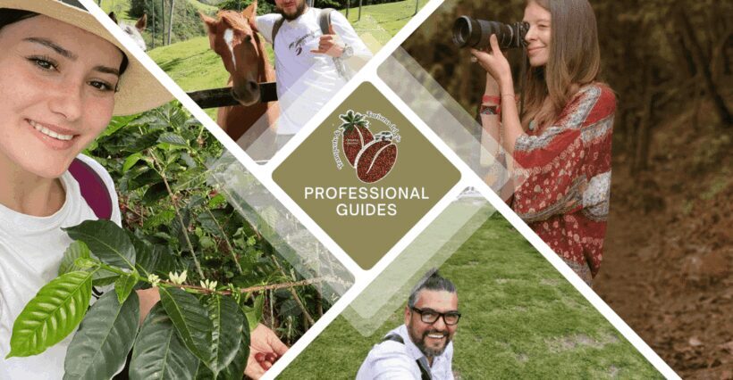 Book a Private Tourist Guide through the Coffee Region - An In-Depth Look at the Private Coffee Region Tour