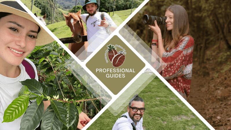 Book a Private Tourist Guide through the Coffee Region - The Sum Up