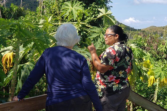 Book Your Private Two and a Half Hour Island Tour today! - Why This Tour Is Worth Considering for Your St. John Visit