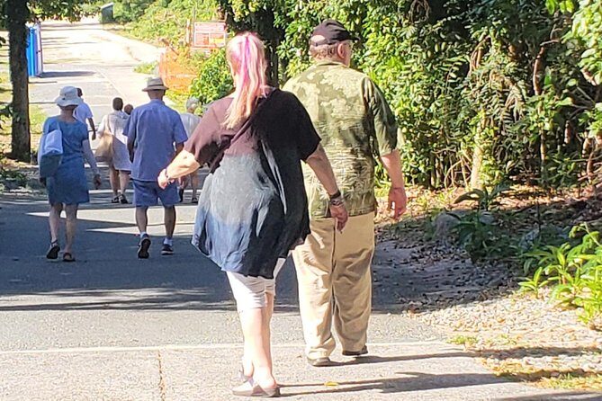 Book Your Private Two and a Half Hour Island Tour today! - Who Will Love This Tour?