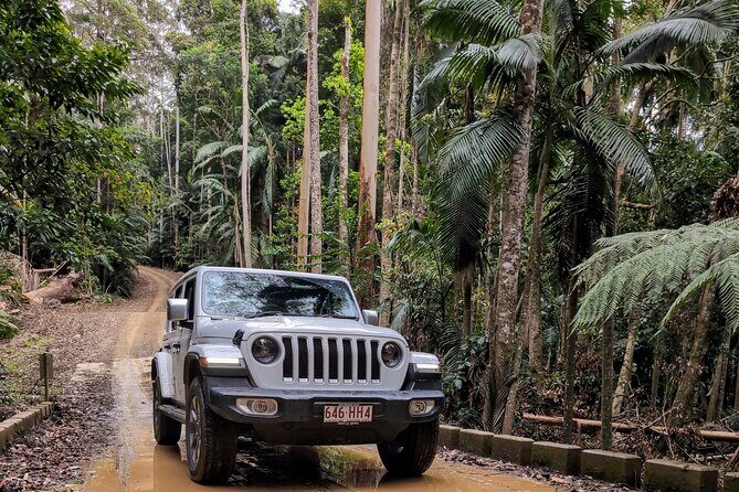 Booloumba Falls & Booloumba Creek Adventure, Conondale Nat. Park - Introduction