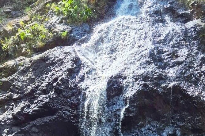 Booloumba Falls & Booloumba Creek Adventure, Conondale Nat. Park - Who Should Consider This Tour?