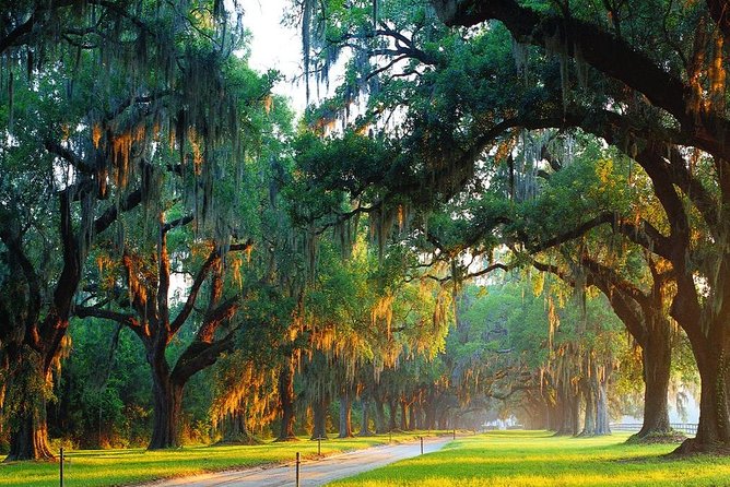 Boone Hall Plantation All-Access Admission Ticket - Live Presentations and Cultural Insights