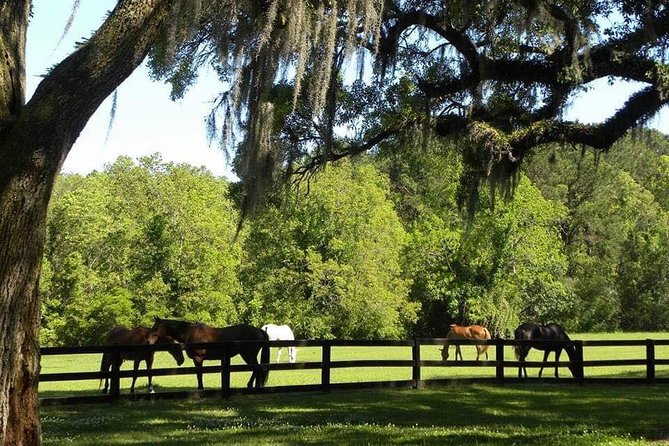 Boone Hall Plantation All-Access Admission Ticket - The Experience’s Value