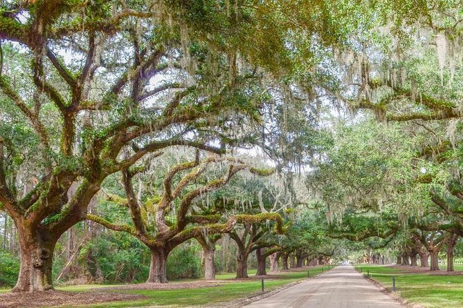 Boone Hall Plantation All-Access Admission Ticket - Final Thoughts