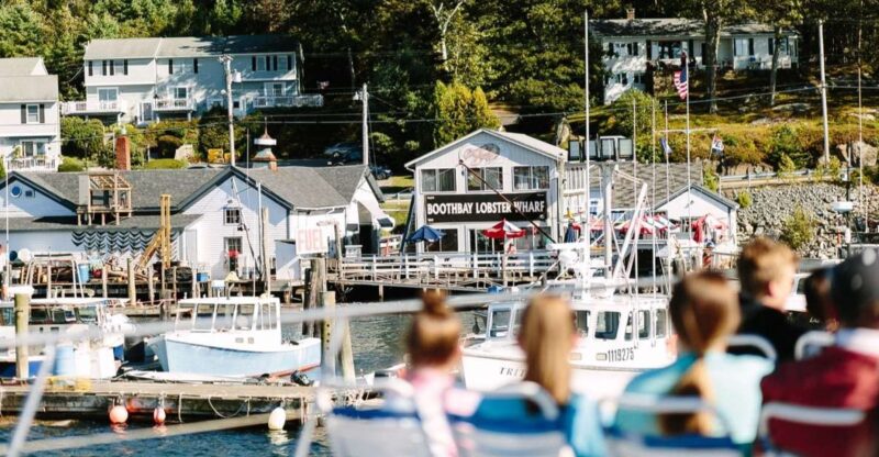 Boothbay Harbor Cruise: Lighthouses, Lobster Haul, and Seals - Wildlife and Seal Sightings