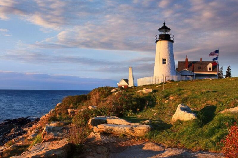 Boothbay Harbor Cruise: Lighthouses, Lobster Haul, and Seals - Who Should Take This Tour?