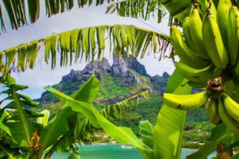 Bora Bora: 4WD History & Culture Tour - Is This Tour Right for You?