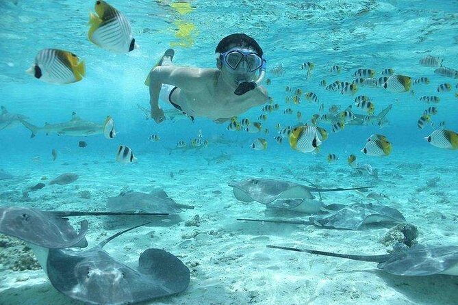 Bora Bora 4WD Tour & Eco Shark & Ray Snorkel Cruise - FAQs
