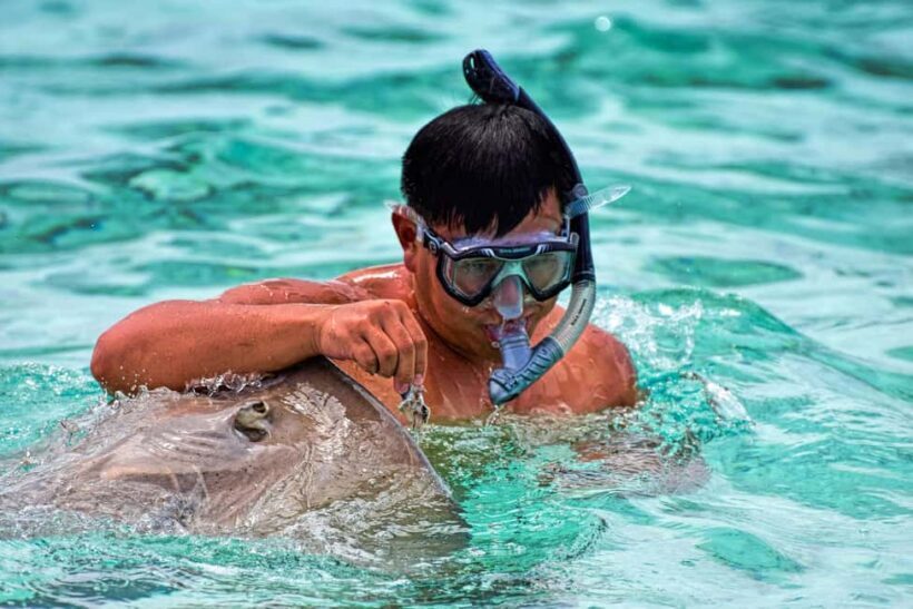 Bora Bora: 4x4 Safari with Snorkelling Combo Tour - Exploring Bora Bora: A 4x4 Safari and Snorkeling Adventure