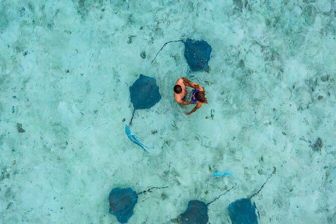 Bora Bora adventure Private Combo Jet Ski and Eco Sharks Snorkel - The Jet Ski Experience: Circling the Island