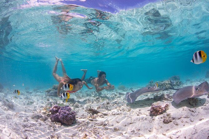 Bora Bora Eco Snorkel Cruise Including Snorkeling with Sharks and Stingrays - Who Should Book This Tour?