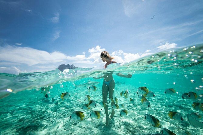 Bora Bora Eco Snorkel Cruise Including Snorkeling with Sharks and Stingrays - FAQ