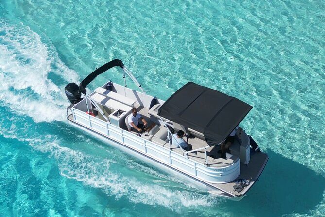 Bora Bora Electric Fun Car Rental - The Sum Up