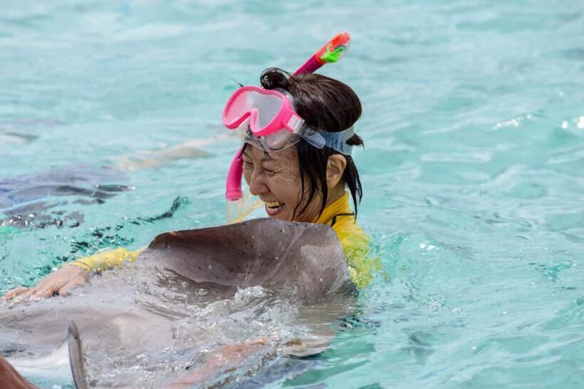 Bora Bora: Full-Day Lagoon Snorkelling Tour - The Itinerary: What to Expect from Dawn to Dusk