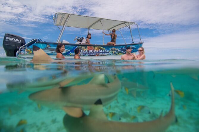 Bora Bora Full Day Manu Lagoon Excursion - An Overview of the Bora Bora Manu Lagoon Excursion