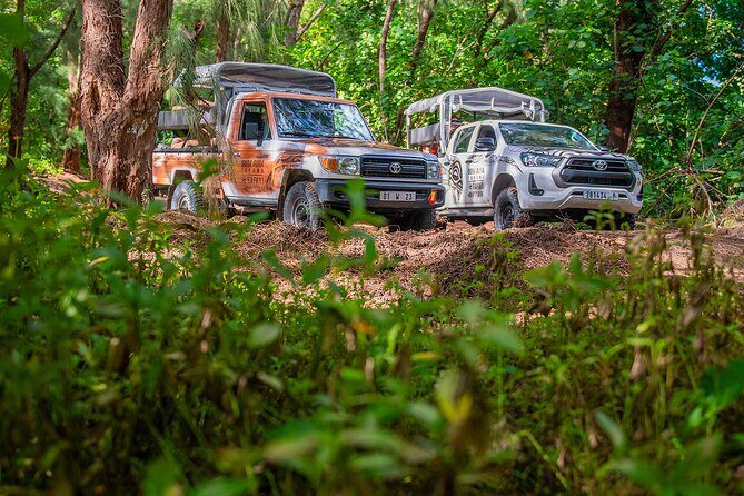 Bora Bora Half Day 4X4 Island Safari Tours - An Authentic Look at Bora Bora’s Interior and Views