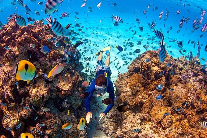 Bora Bora Half-Day Catamaran Sailing, Snorkeling and Floating Bar Experience - Authentic Experiences and Authenticity