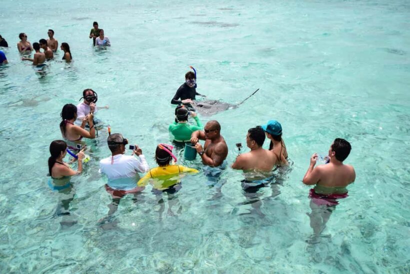 Bora Bora: Half-Day Lagoon Snorkelling Tour - How the Tour Unfolds