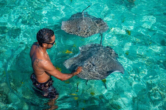 Bora Bora Half Day Manu Lagoon Excursion - The Itinerary and What You Can Expect