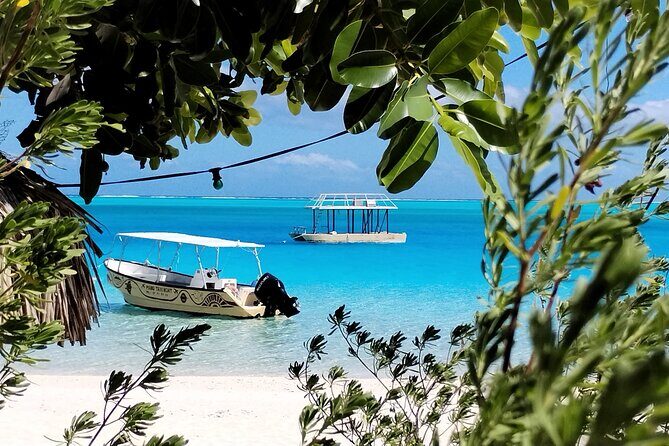 Bora Bora Half Day Manu Lagoon Excursion - Final Thoughts