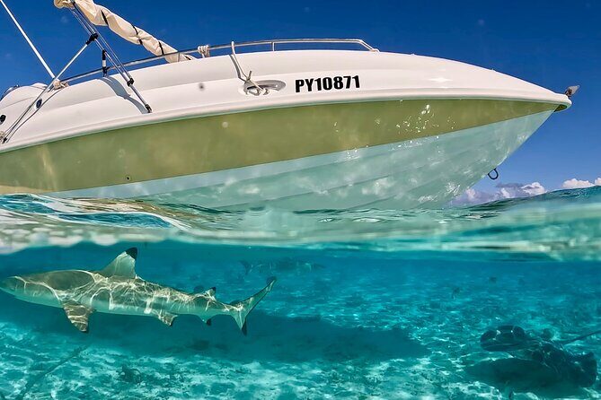 Bora Bora Jet Ski Tour - The Sum Up: Is It Worth It?