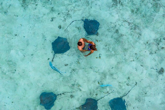Bora Bora Jet Ski Tour, & Eco Shark / Ray Snorkel Cruise - Final Thoughts