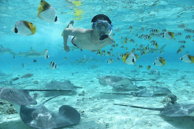 Bora Bora Jet Ski Tour, & Eco Shark / Ray Snorkel Cruise - FAQs