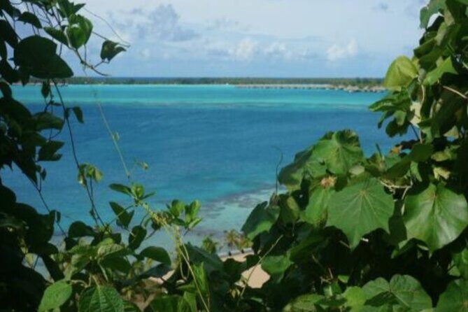 Bora Bora Off-Road Sightseeing Tour - Who Should Consider This Tour?