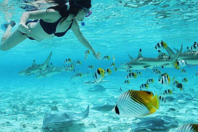 Bora Bora SNORKELING AND ATV QUADS TOURS COMBO - A Deep Dive into the Experience