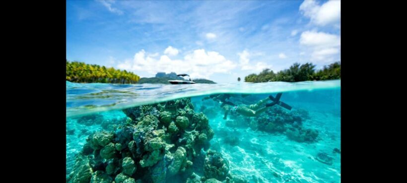 Bora Bora: Snorkeling and Fishing Tour with Lunch Option - Who Will Love This Tour