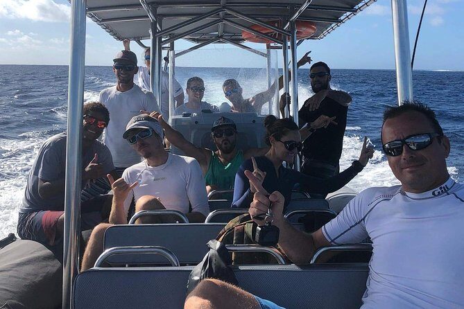 Bora Bora Whale Watching - The Practicalities