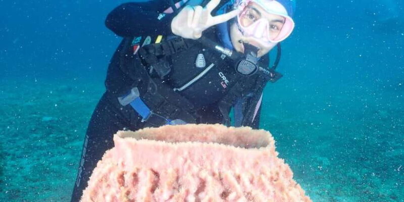 Boracay: Introduction to Scuba Diving Experience - FAQ