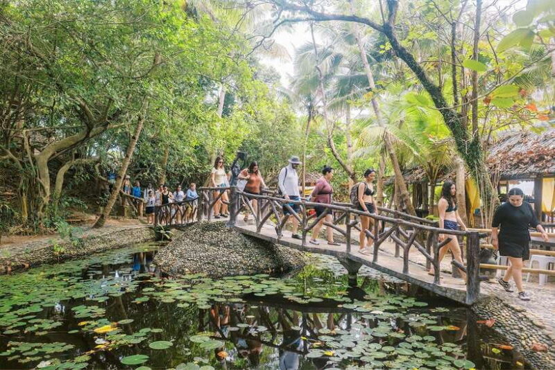 Boracay: Island Hopping Boat Tour with Crystal Cove Entry - Final Thoughts