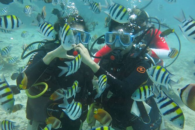 Boracay PADI Discover Scuba Diving - Why This Tour Might Be Right for You