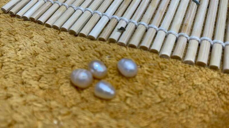 Boracay: Private Land Tour with Pick a Pearl Experience - Itinerary Breakdown: What to Expect