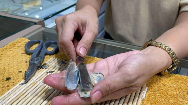 Boracay: Private Land Tour with Pick a Pearl Experience - Why This Tour Works Well