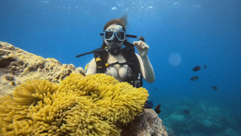 Boracay Scuba Diving with Parasailing and E-Scooter - Exploring Boracay’s Underwater World