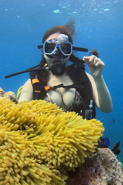 Boracay Scuba Diving with Parasailing and E-Scooter - The Sum Up