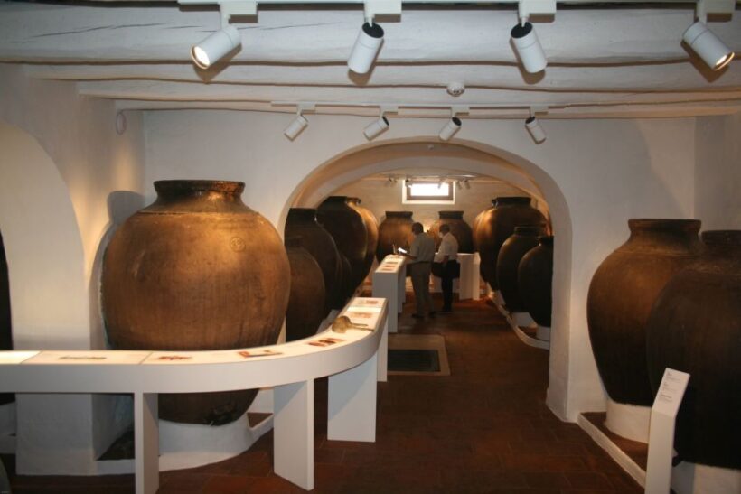 Borba: Winery and Amphora Wine Tour and Tasting - What Travelers Say