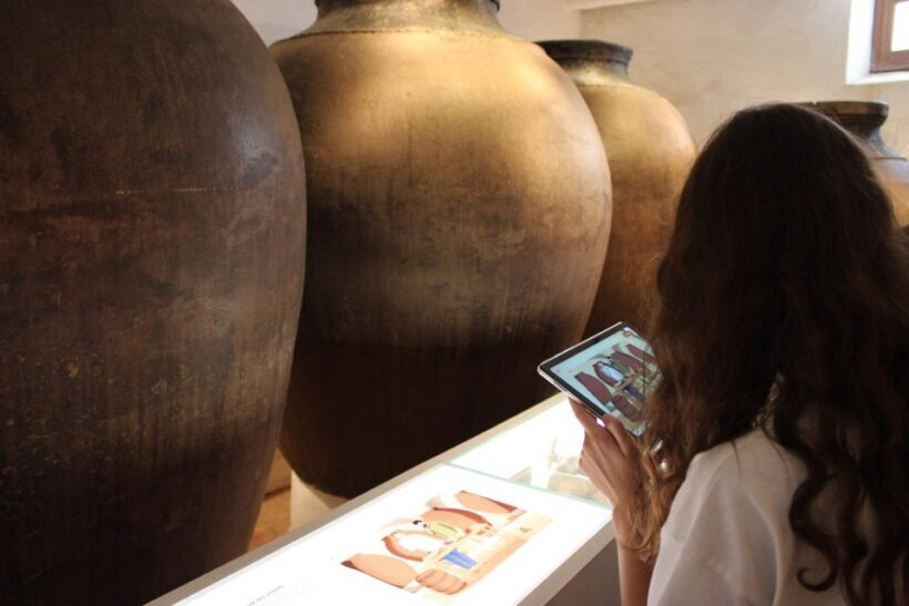 Borba: Winery Tour with Wine and Alentejo Products Tasting - Exploring the Rézio Family Winery
